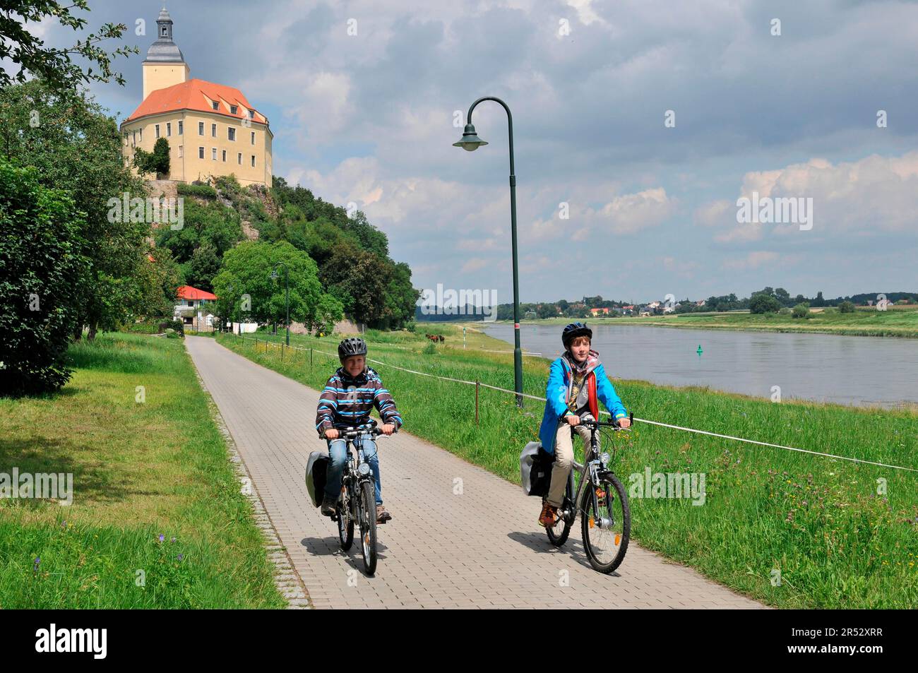 Radfahrer, Neuhirschstein auf der Elbe, Sachsen, Deutschland, Radweg ...