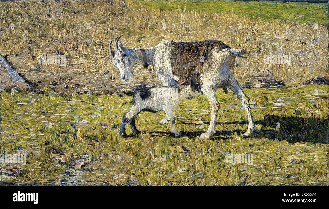 A goat -Fotos und -Bildmaterial in hoher Auflösung – Alamy