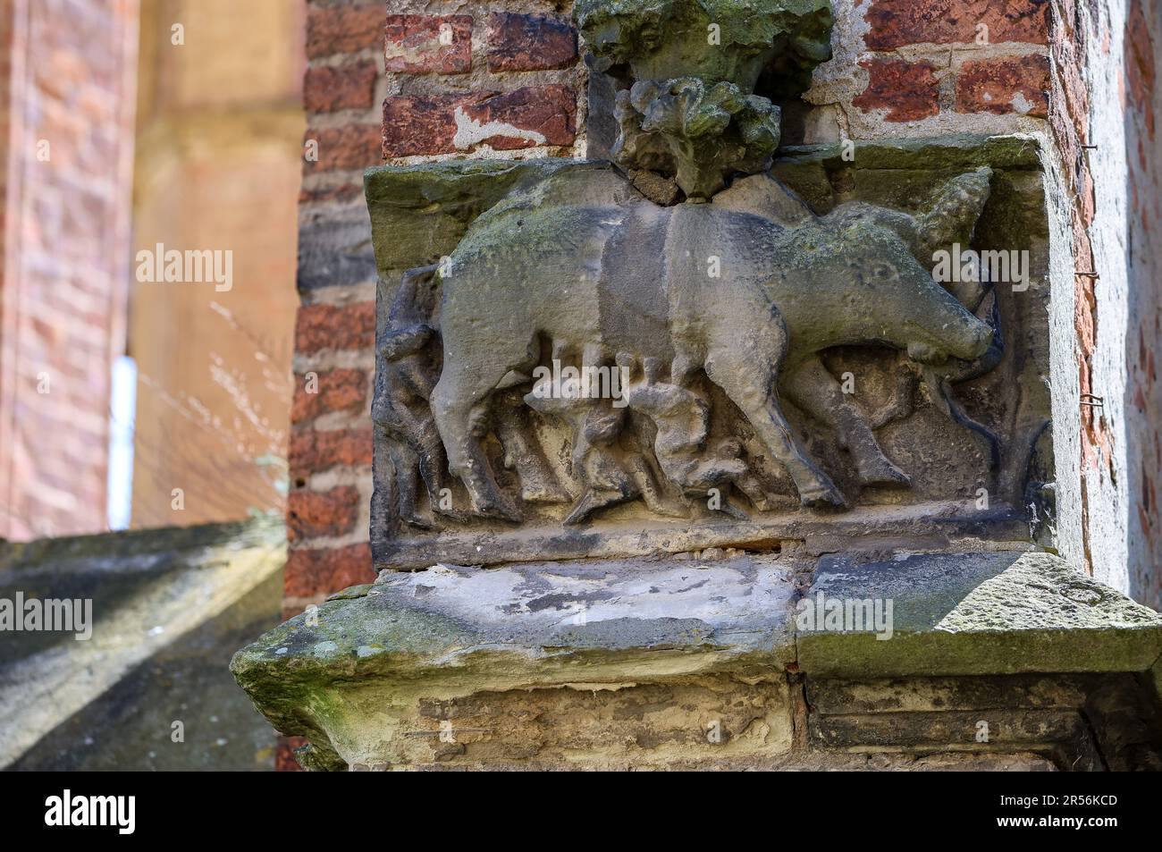 Zerbst, Deutschland. 01. Juni 2023. Die mittelalterliche, anti-jüdische ...