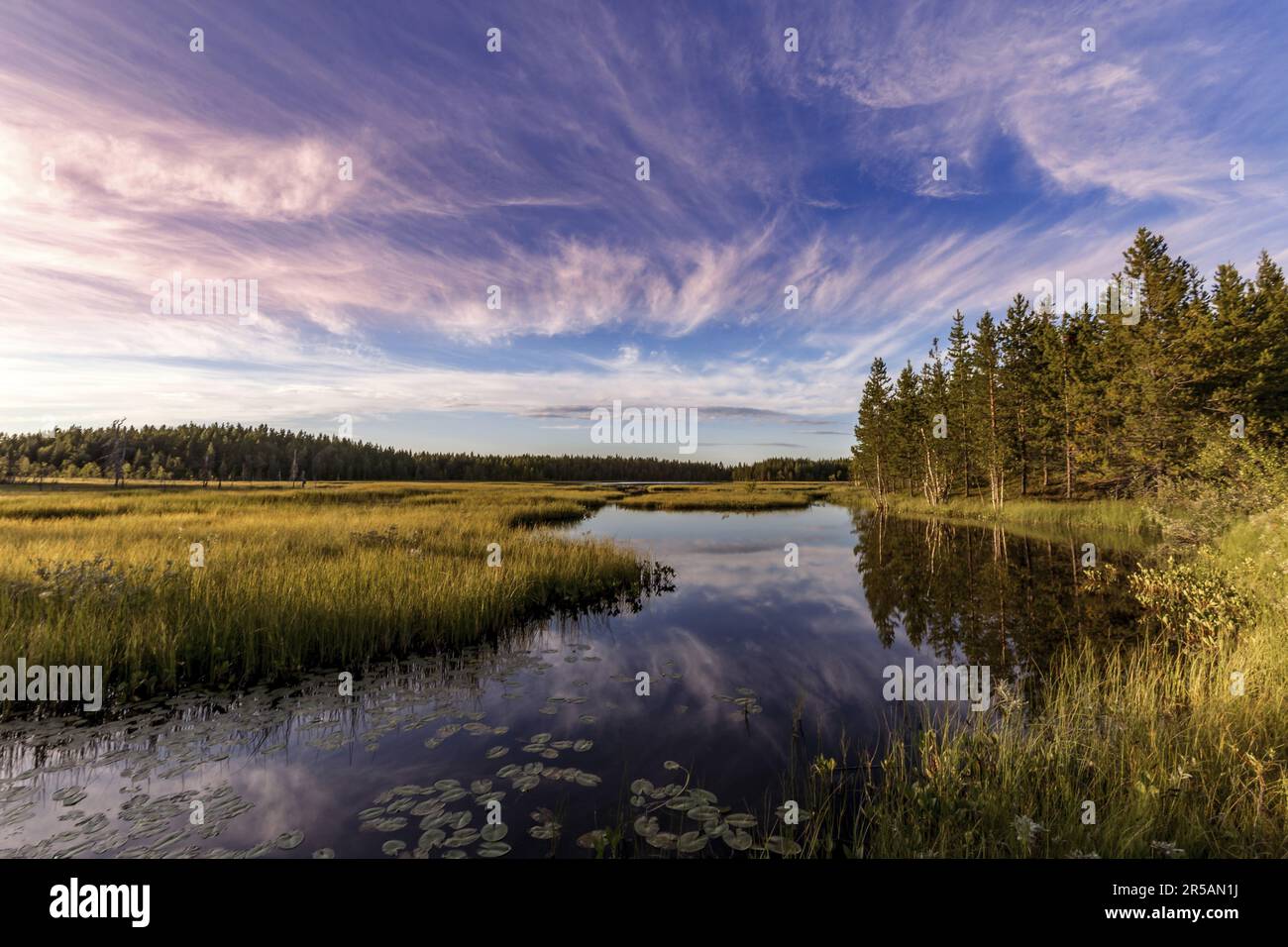 Lappland sommer -Fotos und -Bildmaterial in hoher Auflösung – Alamy