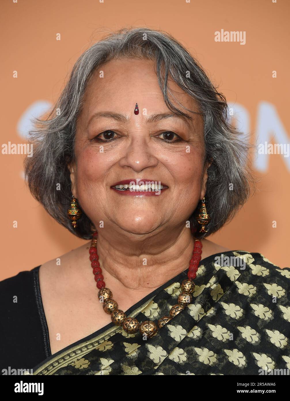 Ranjita chakravarty -Fotos und -Bildmaterial in hoher Auflösung – Alamy