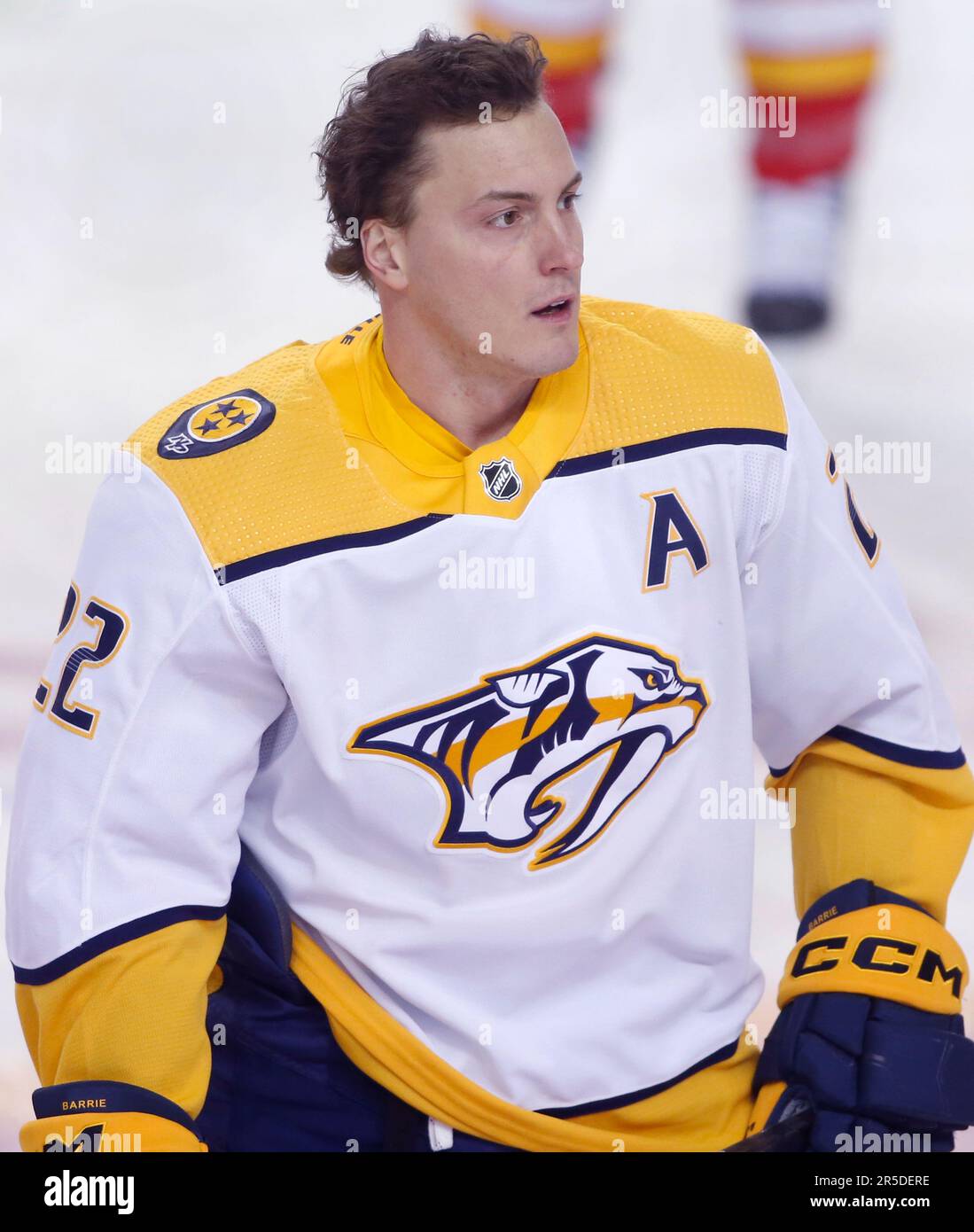 NHL profile photo on Nashville Predators player Tyson Barrie at a game ...