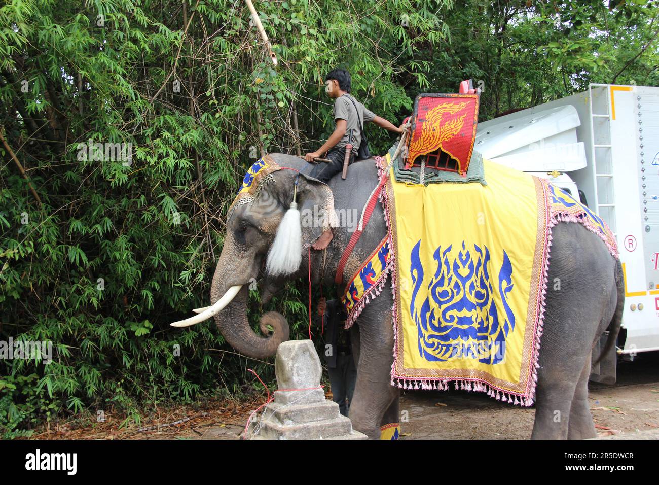 Elefanten auf der autobahn -Fotos und -Bildmaterial in hoher Auflösung ...