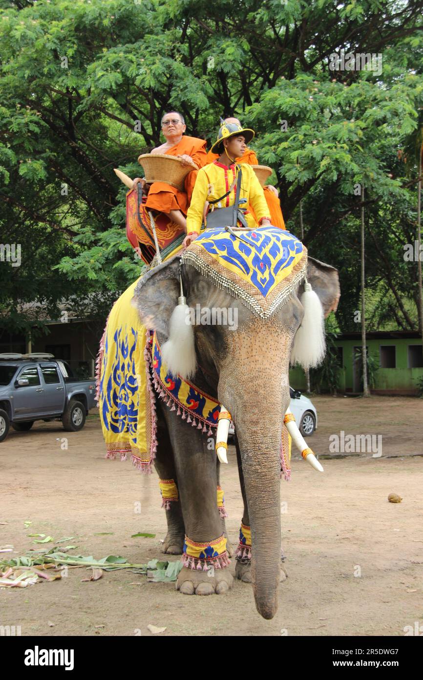 Elefanten auf der autobahn -Fotos und -Bildmaterial in hoher Auflösung – Alamy
