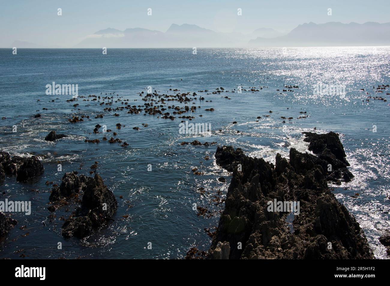 Kapparis beach -Fotos und -Bildmaterial in hoher Auflösung – Alamy