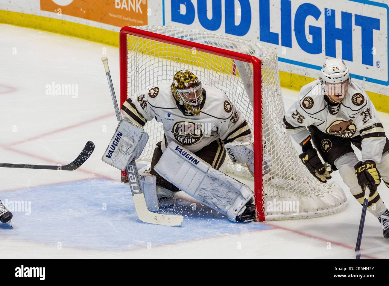 02. Juni 2023: Hershey Bears Torhüter Hunter Shepard (30) spart in der ...