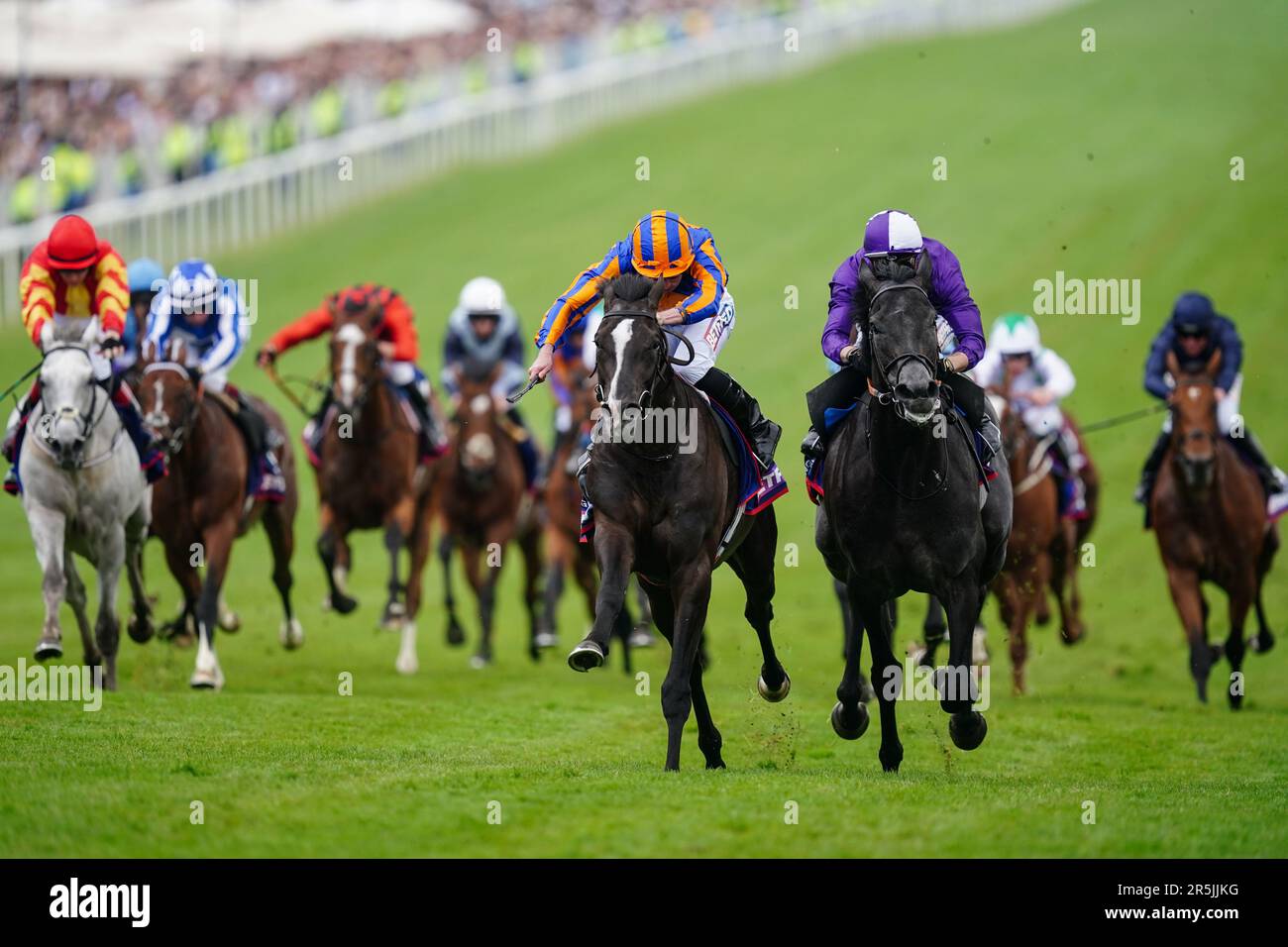 Auguste Rodin Ride by Ryan Moore (links) schlägt King of Steel und ...