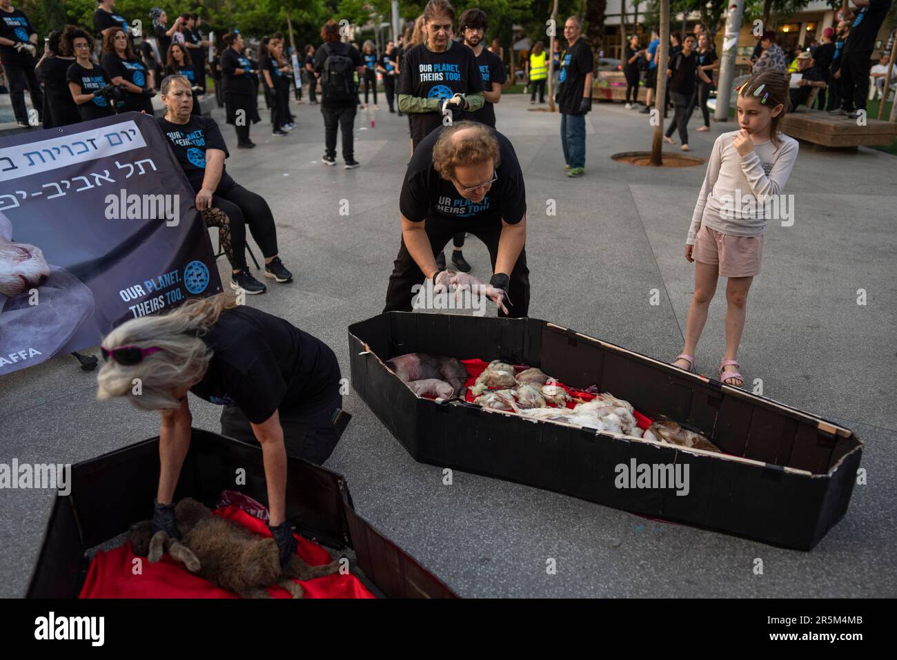 Israeli activists hold the carcasses of dead animals to mark ...