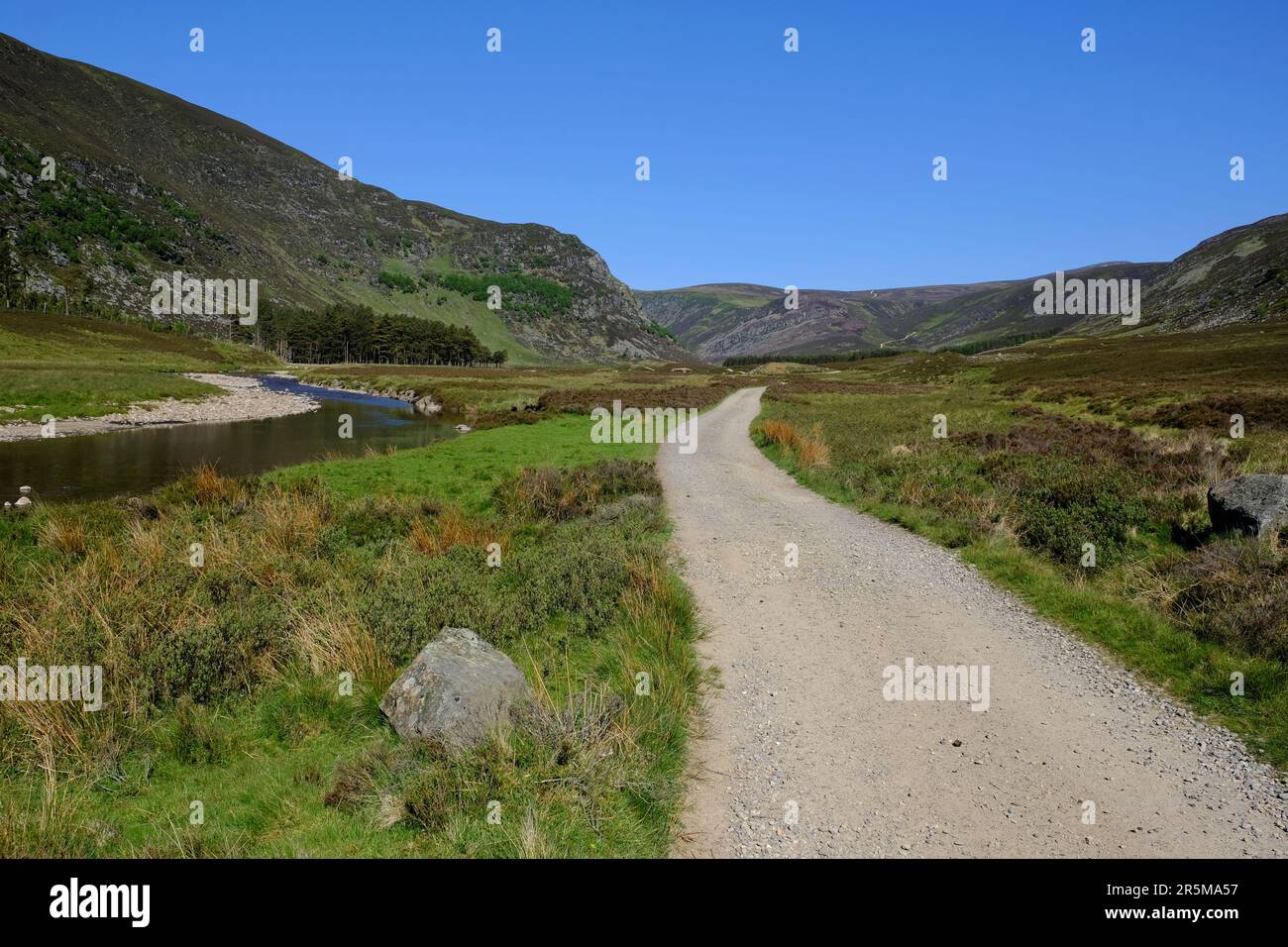 Kennzeichnen sie angus -Fotos und -Bildmaterial in hoher Auflösung – Alamy