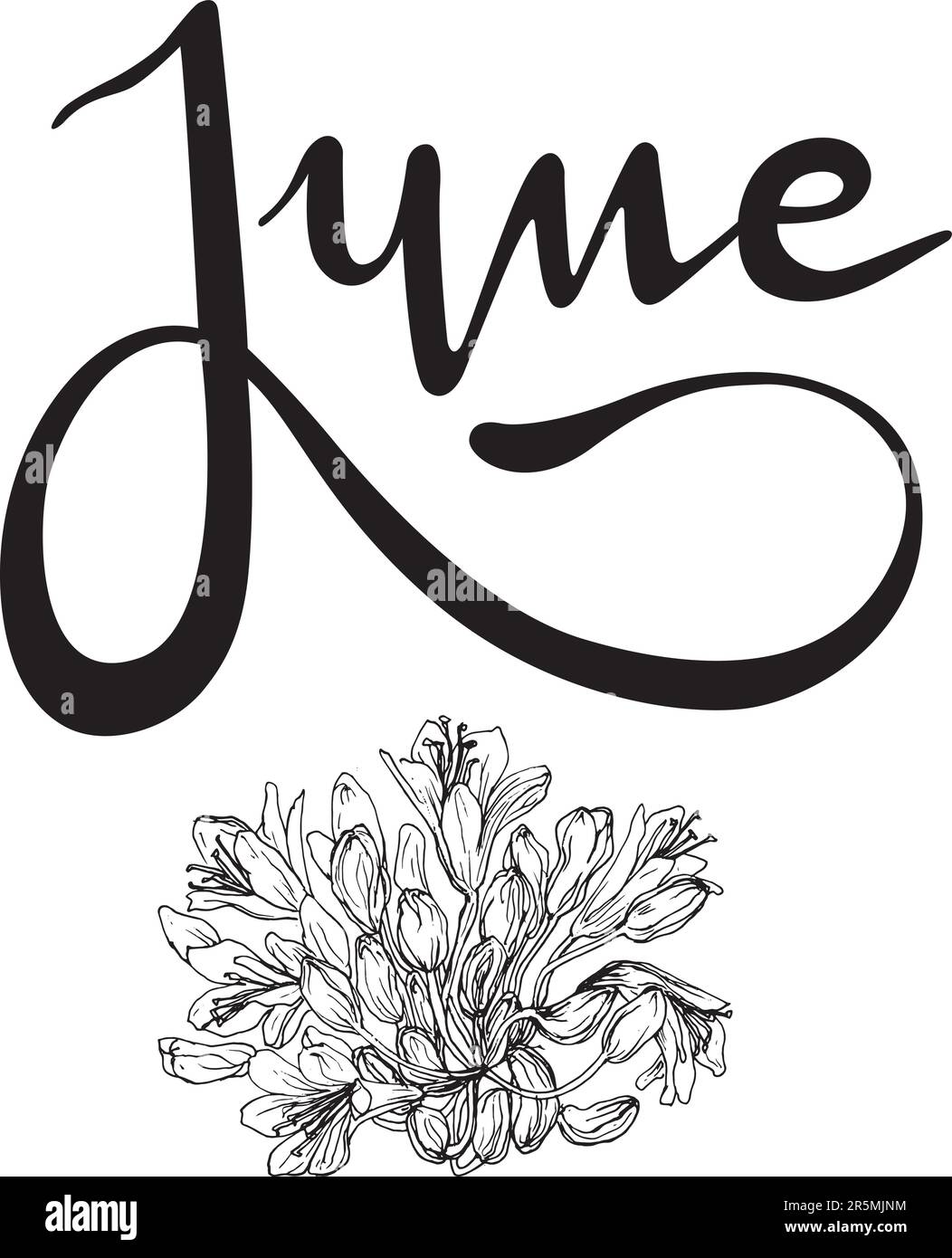 Handgeschriebenes und vektorisiertes Schriftzeichen „Juni ...