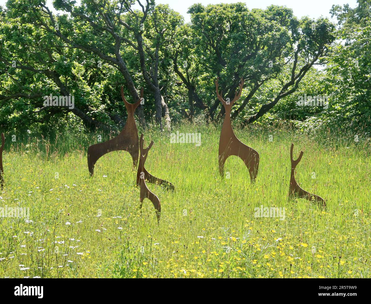 Tollemache familie -Fotos und -Bildmaterial in hoher Auflösung – Alamy