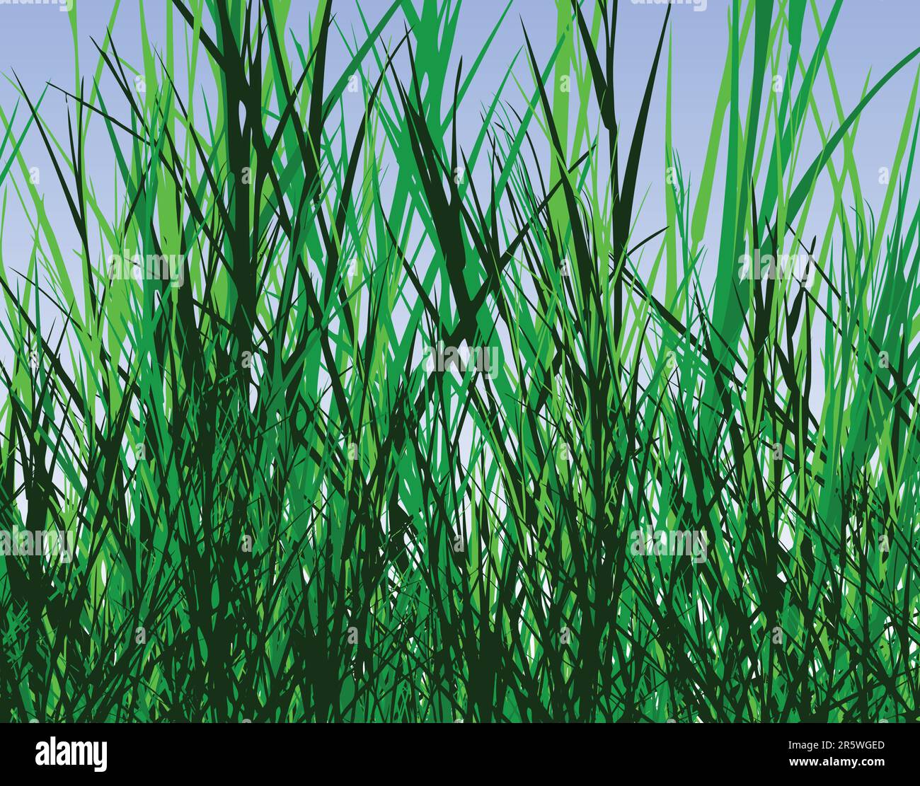 Tall vegetation Stock-Vektorgrafiken kaufen - Alamy