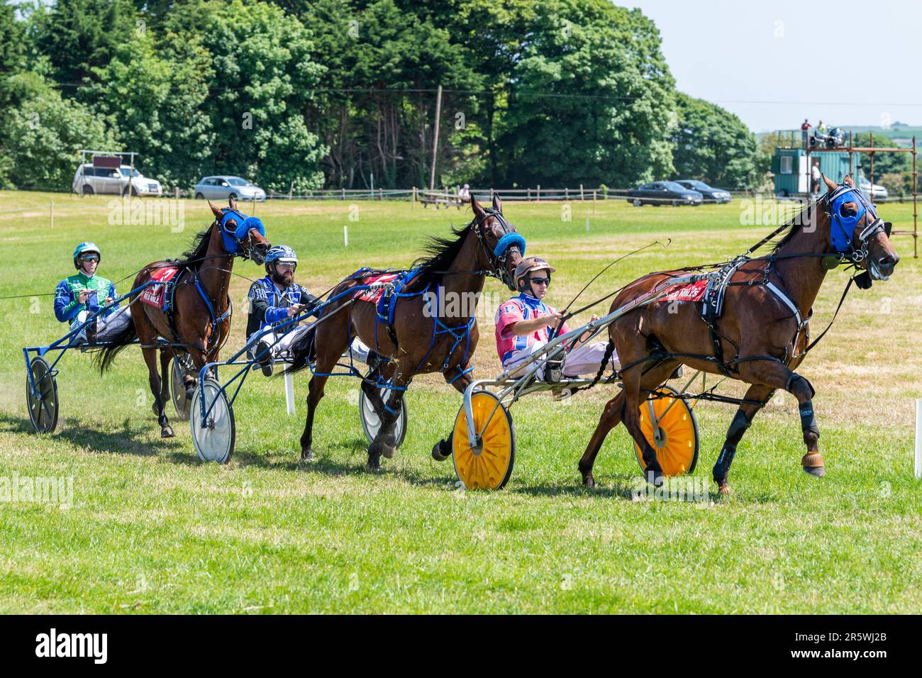 Irischer trabrennsportverband -Fotos und -Bildmaterial in hoher ...