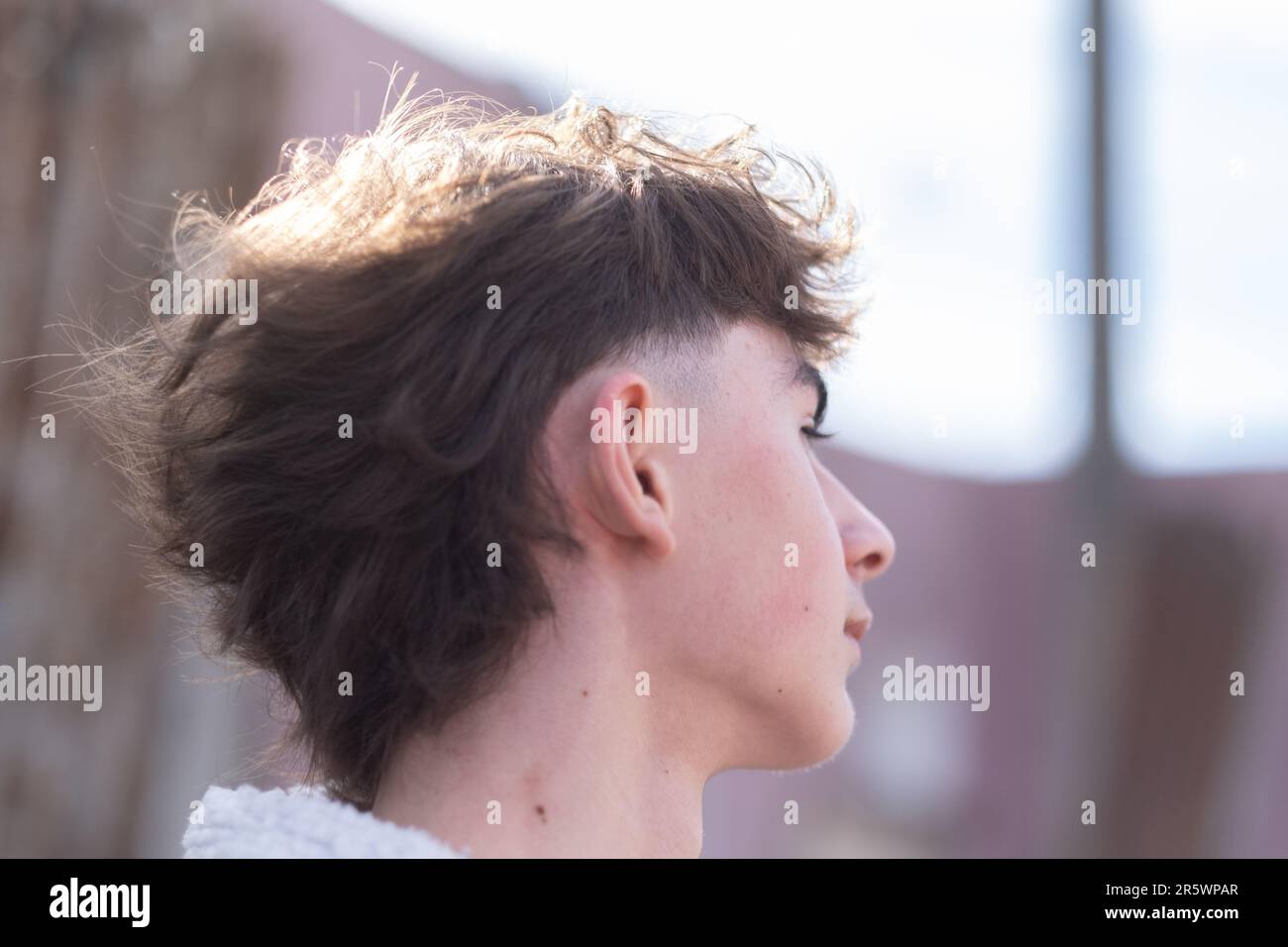 Meeräsche frisur -Fotos und -Bildmaterial in hoher Auflösung – Alamy