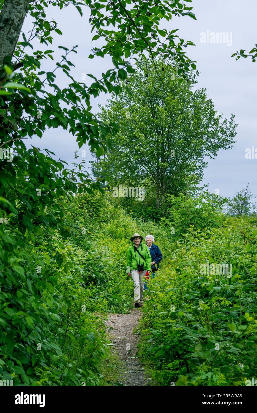 Wandern auf Spencer Island (Modell freigegeben), Teil eines größeren ...