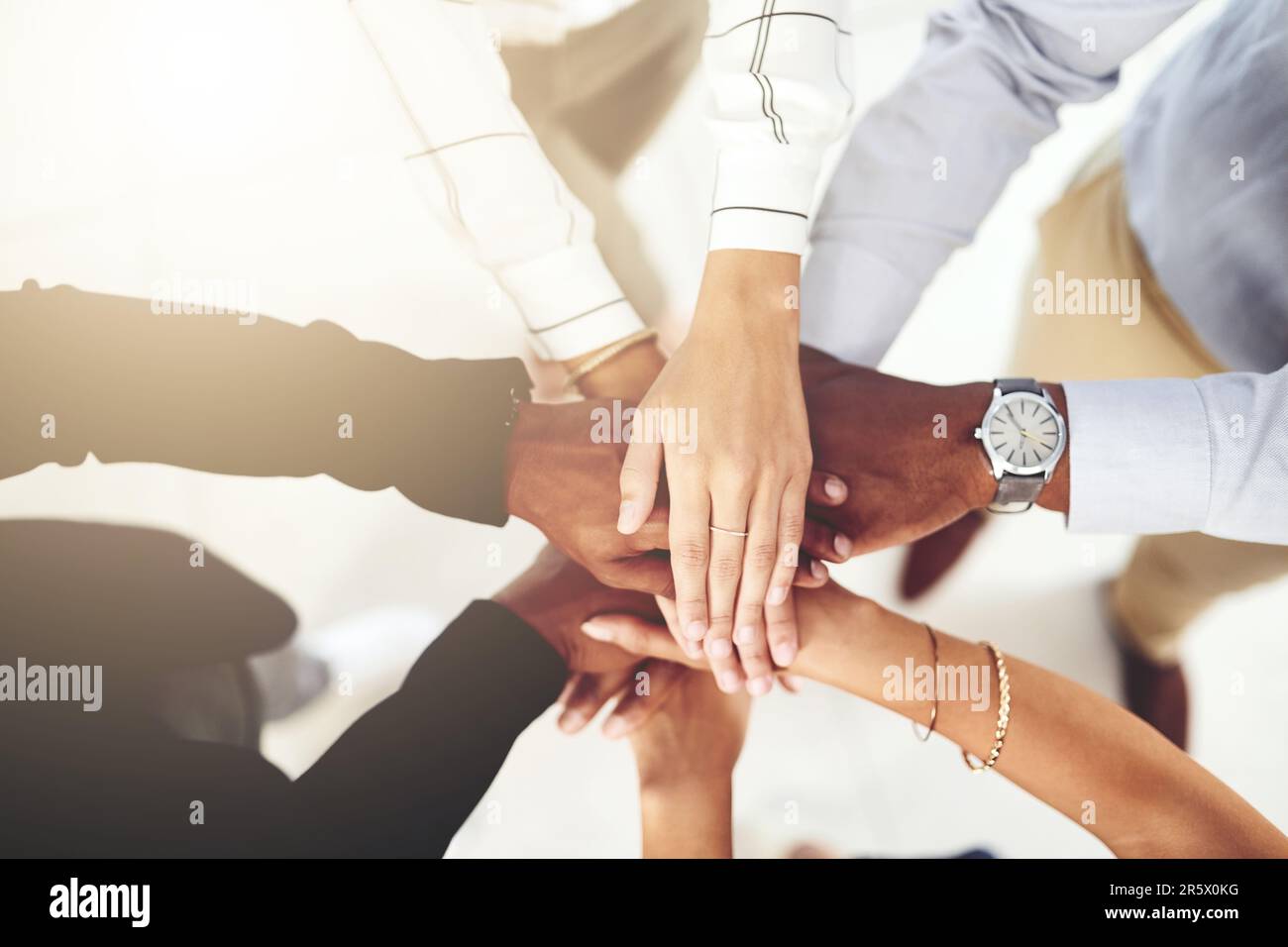 Gemeinsam erheben wir uns an die Spitze. Nahaufnahme einer Gruppe von ...