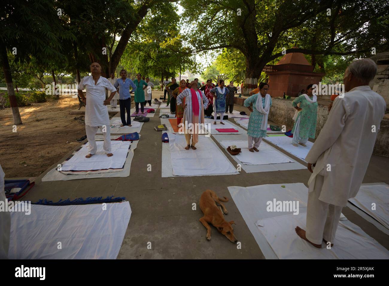 People perform yoga in a group at the Khusro Bagh garden and burial ...
