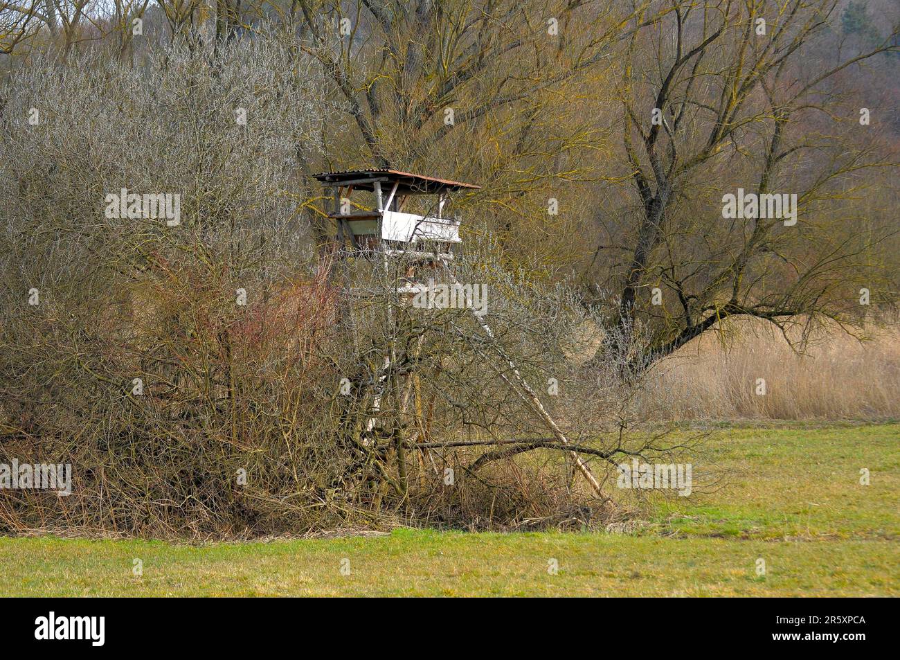 Hochsitz jagd -Fotos und -Bildmaterial in hoher Auflösung – Alamy