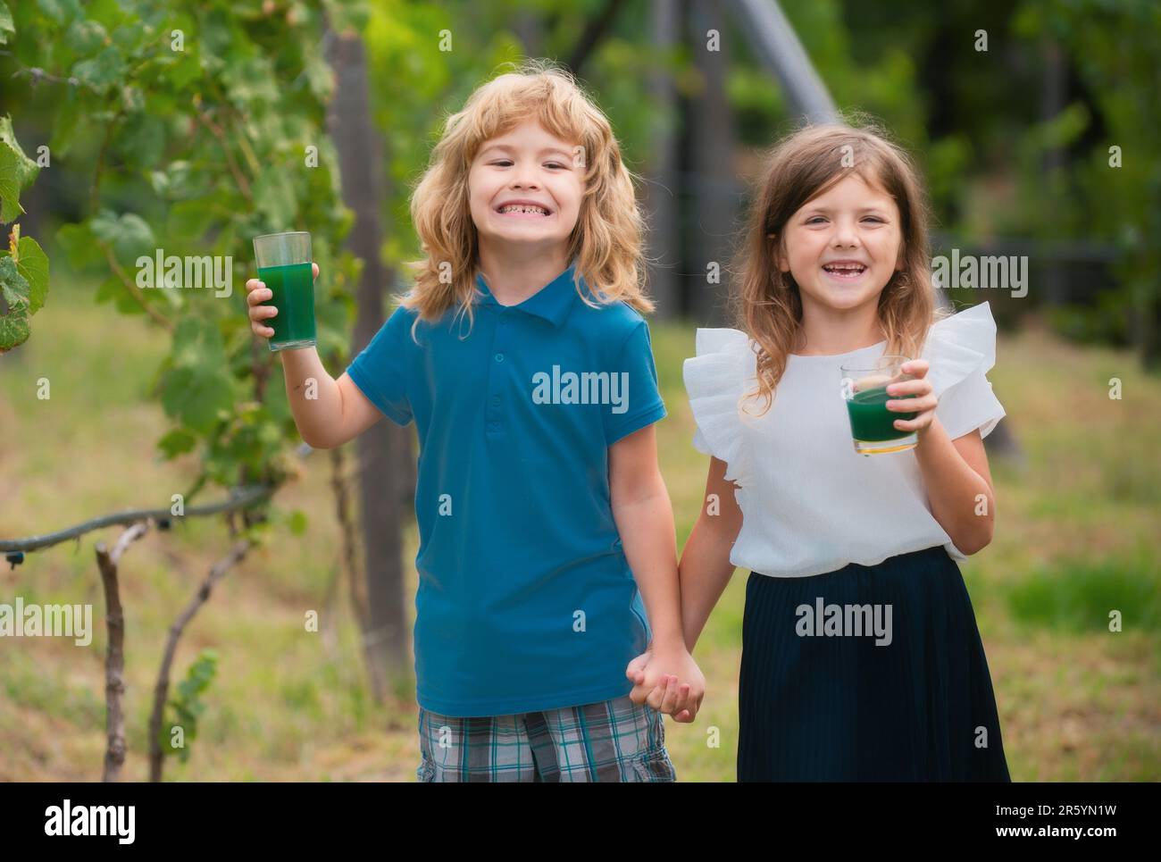 Zwei Kinder trinken grünen Smoothie im Sommer Park. Bruder und Schwester gehen gerne in der ...
