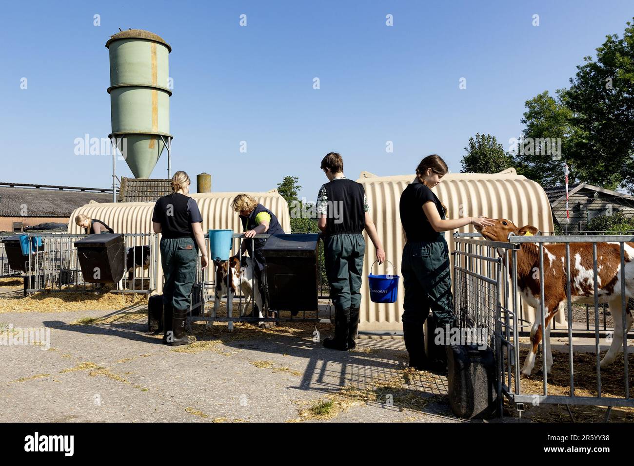 Bäuerin beim melken -Fotos und -Bildmaterial in hoher Auflösung – Alamy