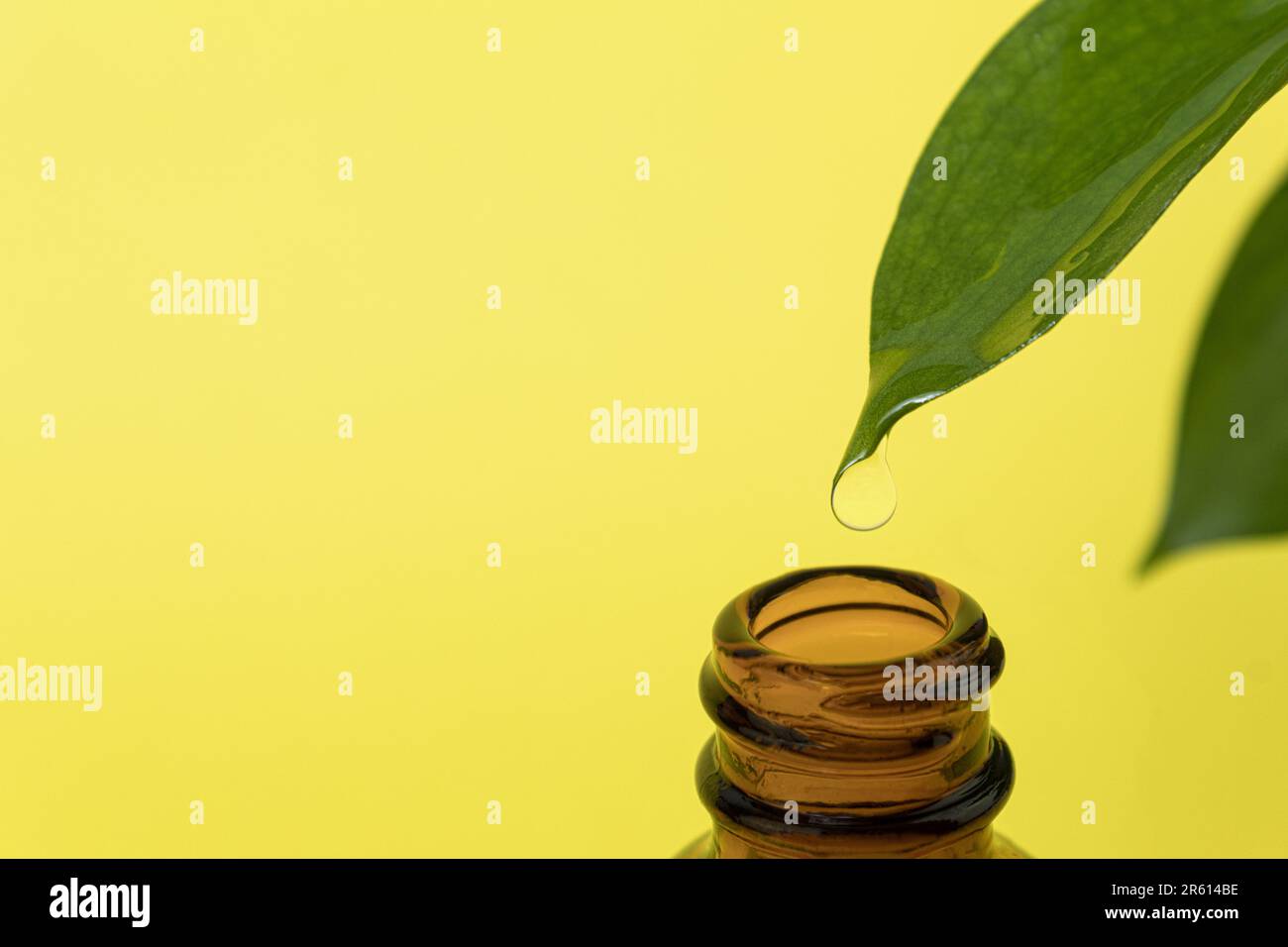 Ein Tropfen flüssiger Rohstoffe läuft ein grünes Blatt hinunter und ...