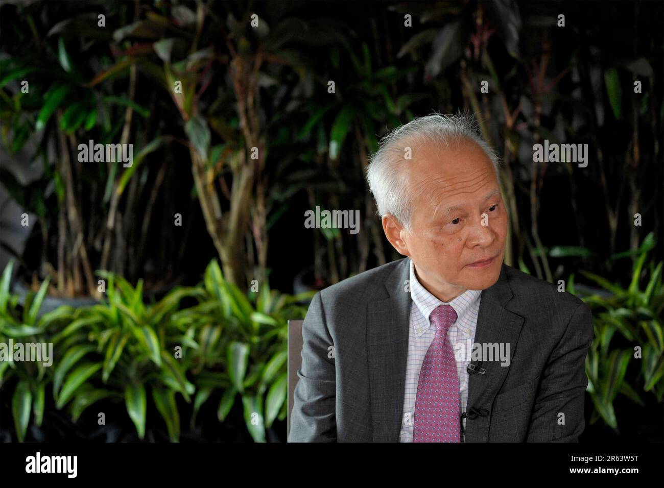 Cui Tiankai, a retired veteran Chinese diplomat and former Chinese ...