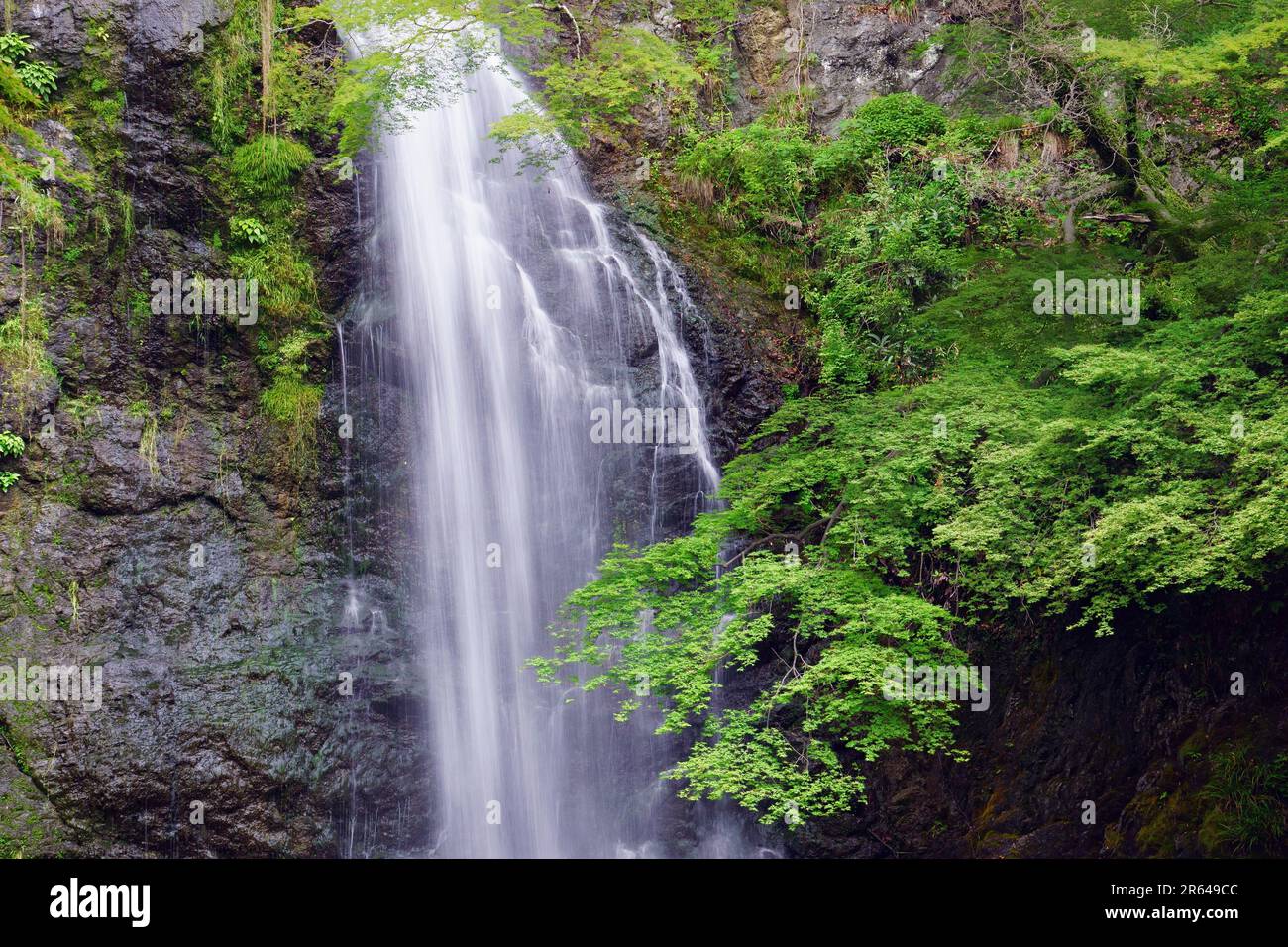 Minoh park -Fotos und -Bildmaterial in hoher Auflösung – Alamy