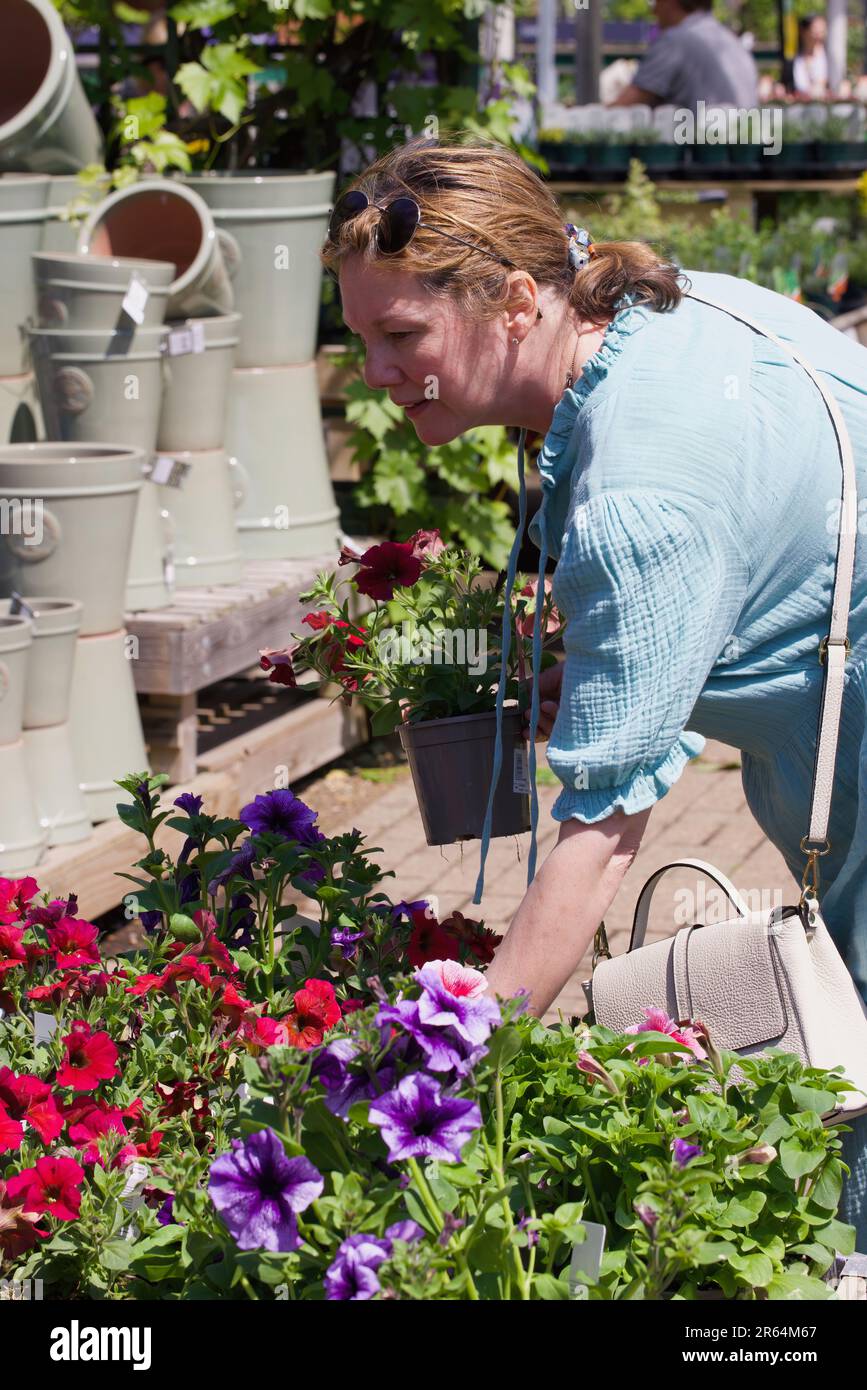 Gartencenter und gärtnerei -Fotos und -Bildmaterial in hoher Auflösung - Seite 2 - Alamy