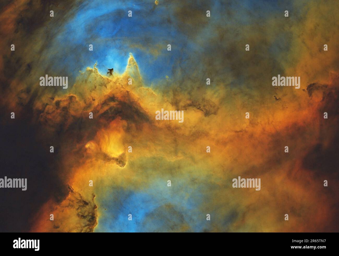 DIE IN DIE ENGERE WAHL GEKOMMENEN Fotografen für den Astronomy ...