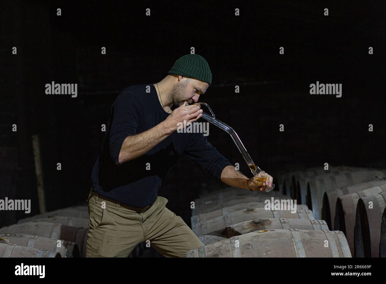 Entnahme einer Probe von schottischem Whisky aus einem Eichenfass mit ...