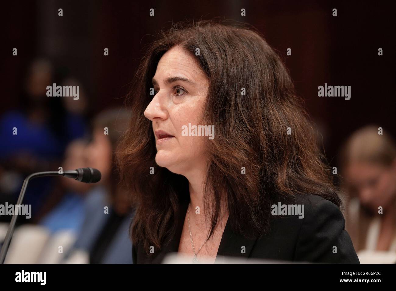 Wendy Weiser, Director for Democracy Program in the Brennan Center for ...