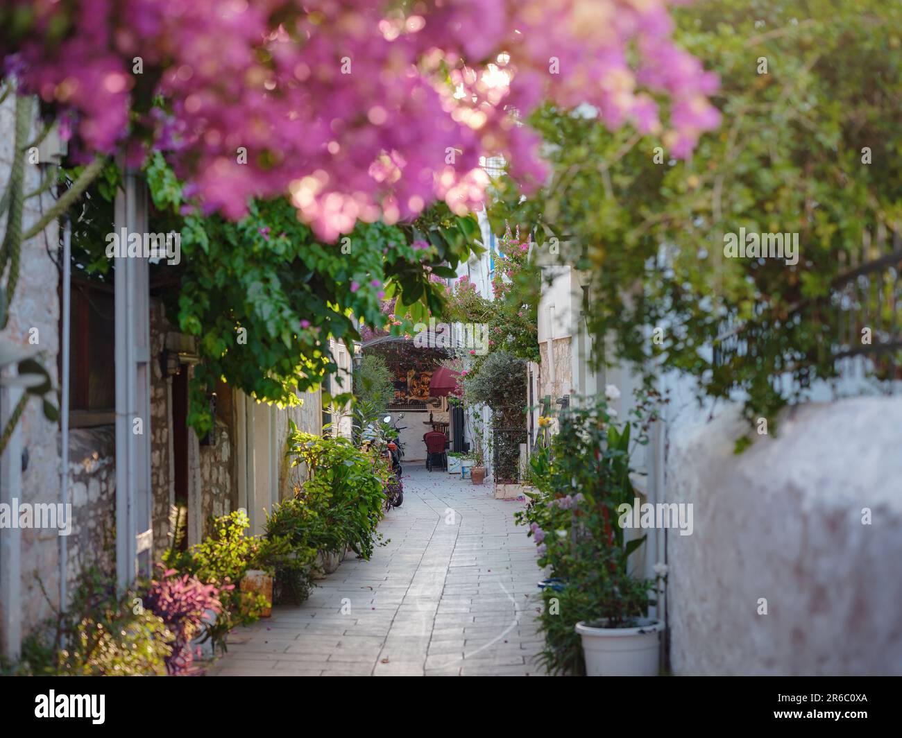 Blühende Bougainvillea, Straßen der Altstadt von Bodrum, Türkei ...