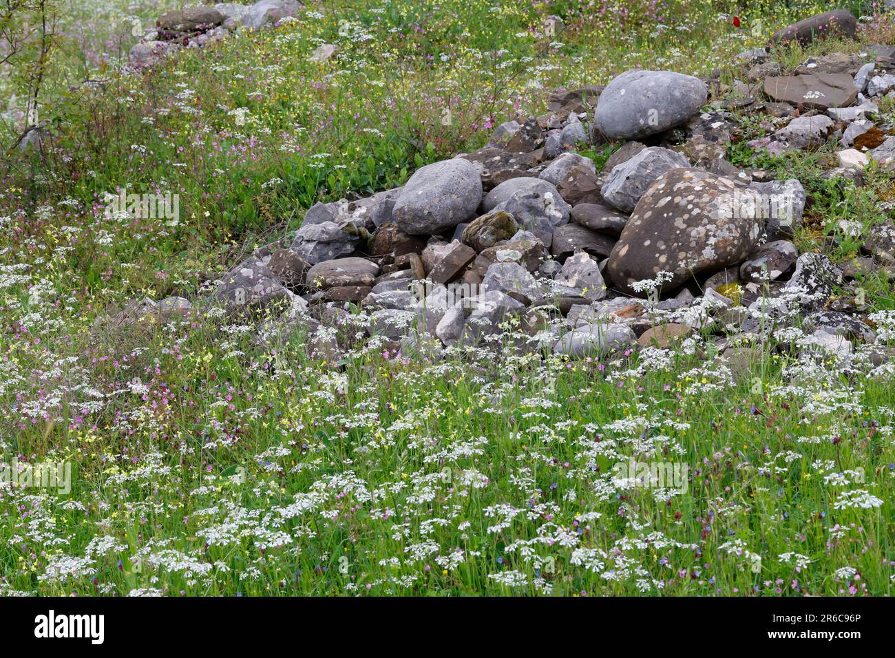 Rockpiles -Fotos und -Bildmaterial in hoher Auflösung – Alamy