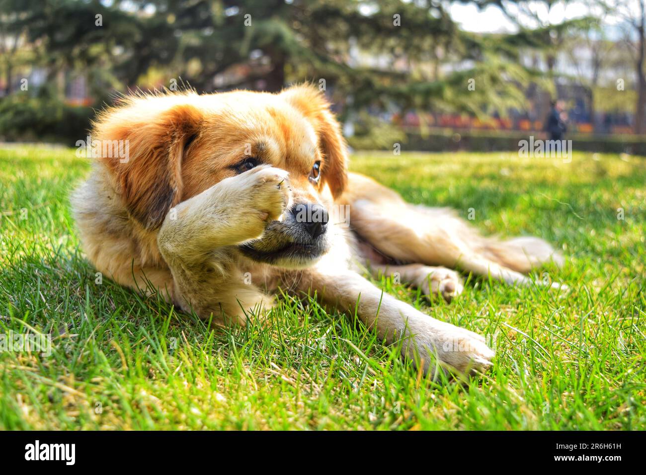 Entzãckende momente -Fotos und -Bildmaterial in hoher Auflösung – Alamy