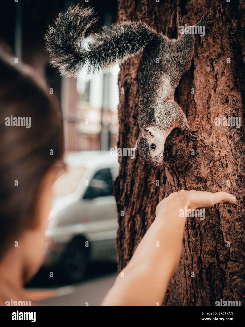 Moment der verbindung -Fotos und -Bildmaterial in hoher Auflösung – Alamy
