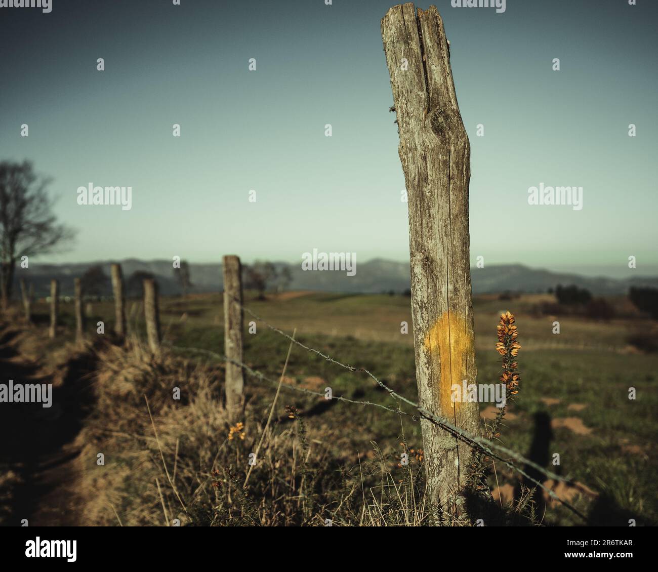 Ein gelber Pfeil führt Sie durch die Umarmung der Natur. Ein ...