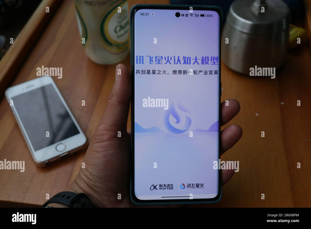 SHANGHAI, CHINA - 12. JUNI 2023 - Ein Bürger meldet sich an, um das ...