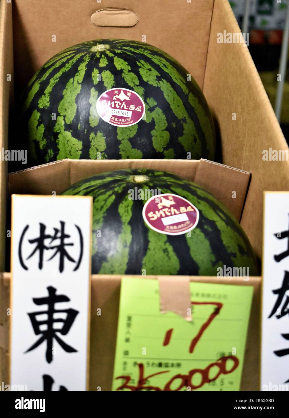 Raiden watermelon is auctioned for the highest price ever in Sapporo ...