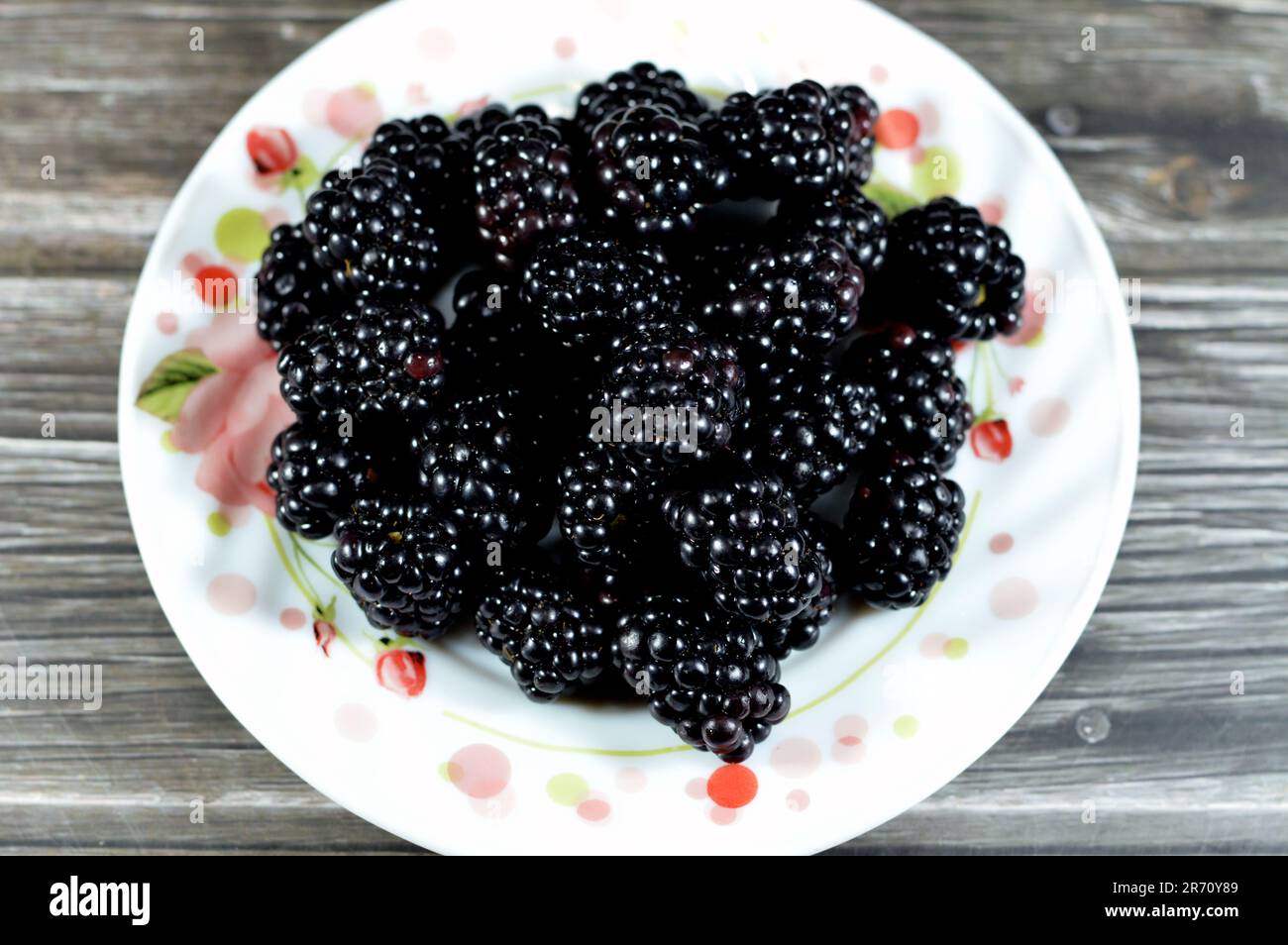 Brombeere, essbare Frucht vieler Arten der Gattung Rubus in der Familie ...