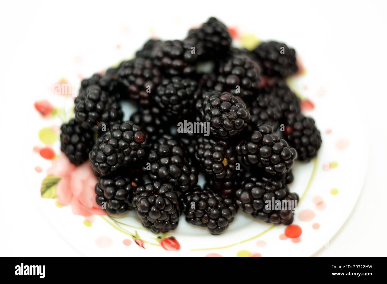 Brombeere, essbare Frucht vieler Arten der Gattung Rubus in der Familie ...