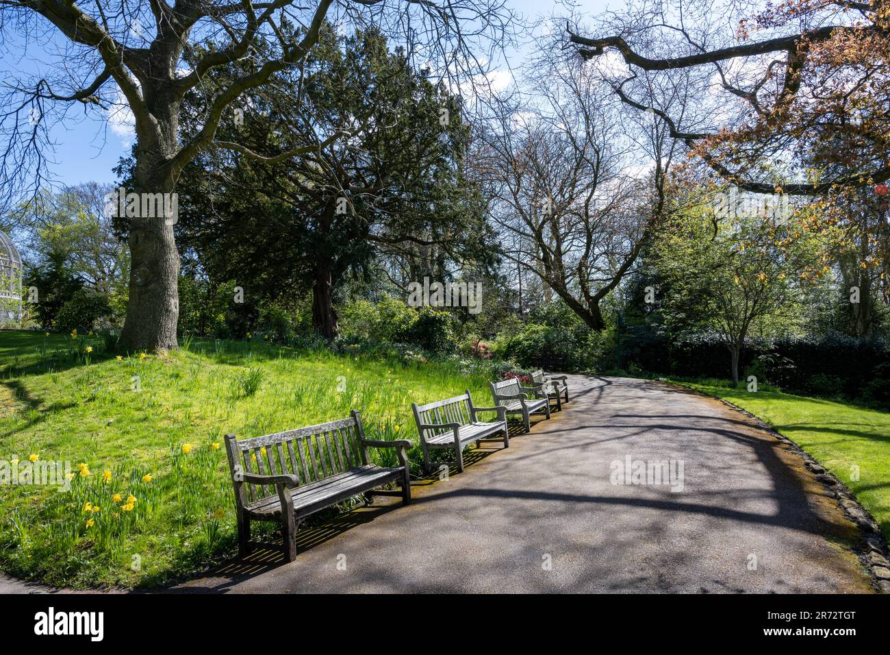 Botanic diversity -Fotos und -Bildmaterial in hoher Auflösung – Alamy