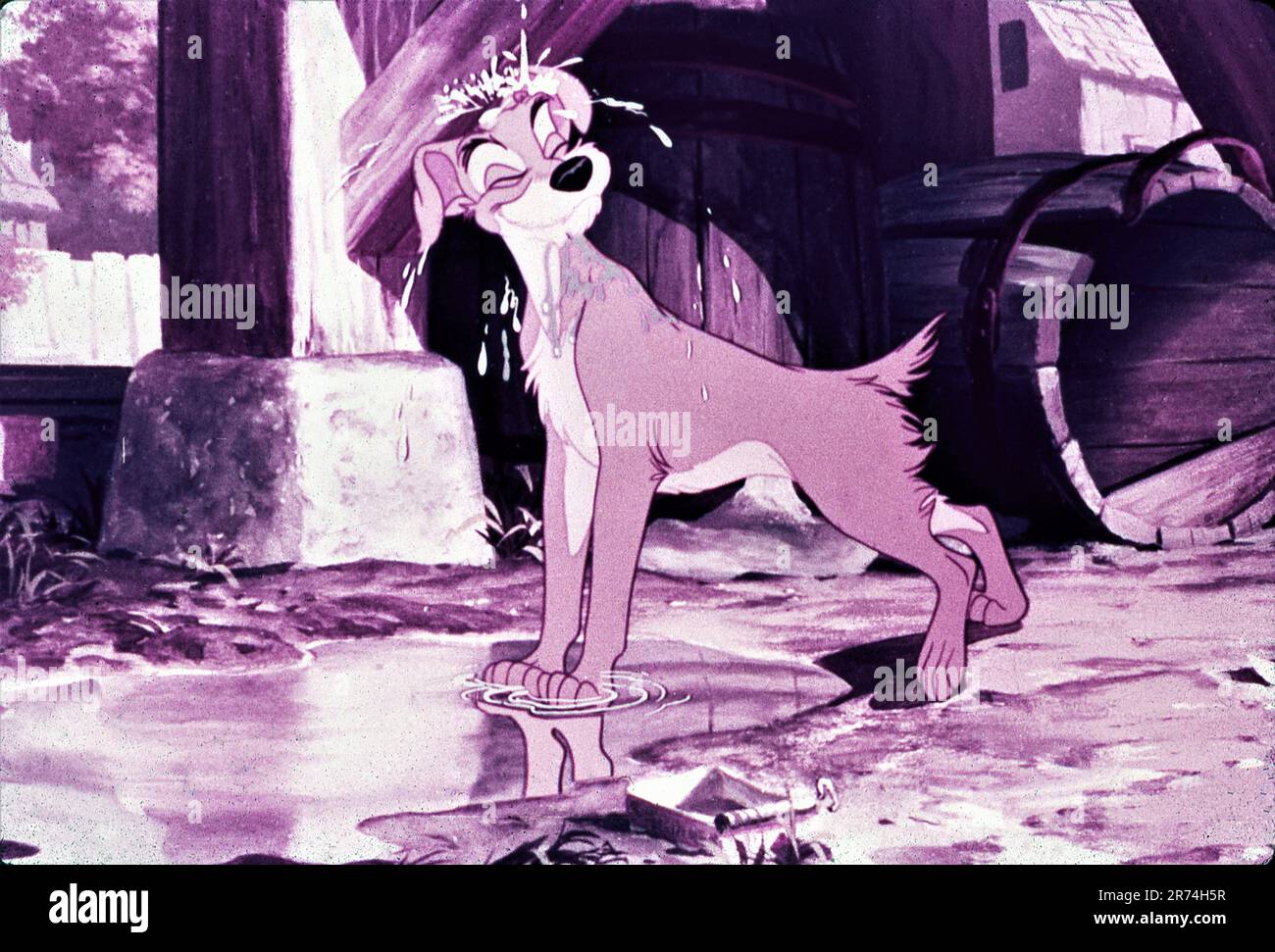 Disney lady and the tramp 1955 -Fotos und -Bildmaterial in hoher ...