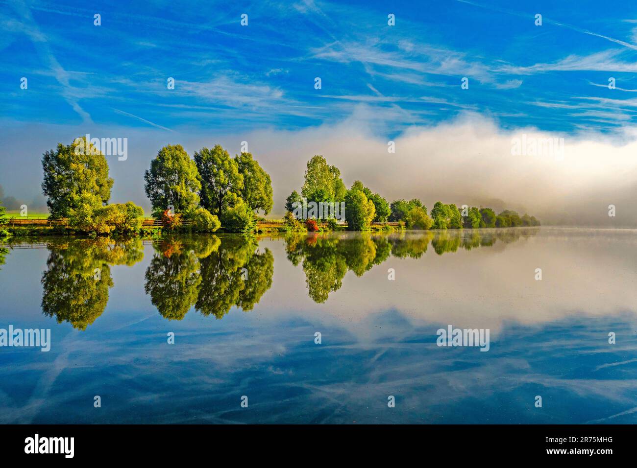 Morgennebel auf dem Saar nahe Mettlach-St. Gangolf, Saar-Hunsrück ...