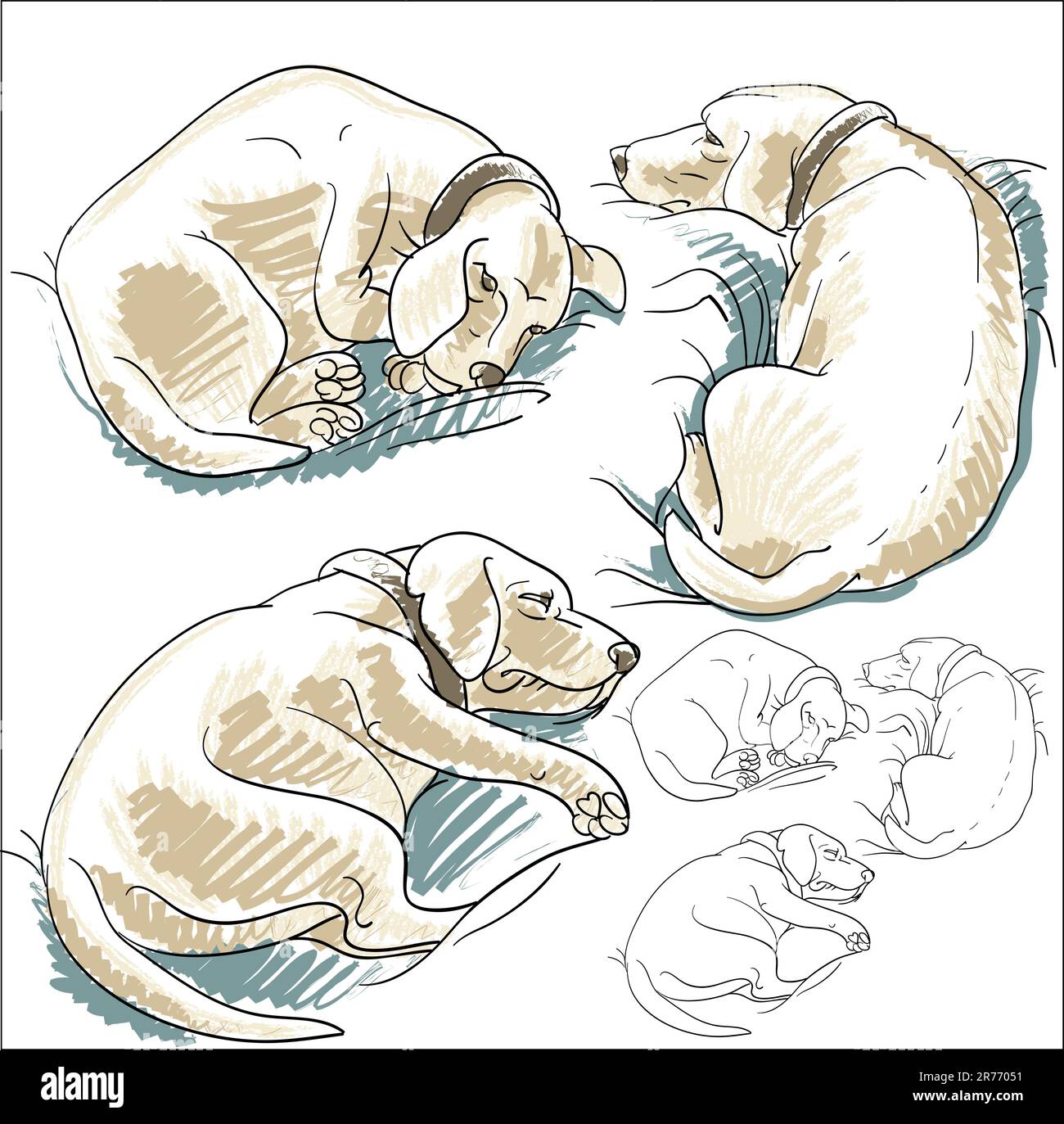 Skizzen hund -Fotos und -Bildmaterial in hoher Auflösung – Alamy