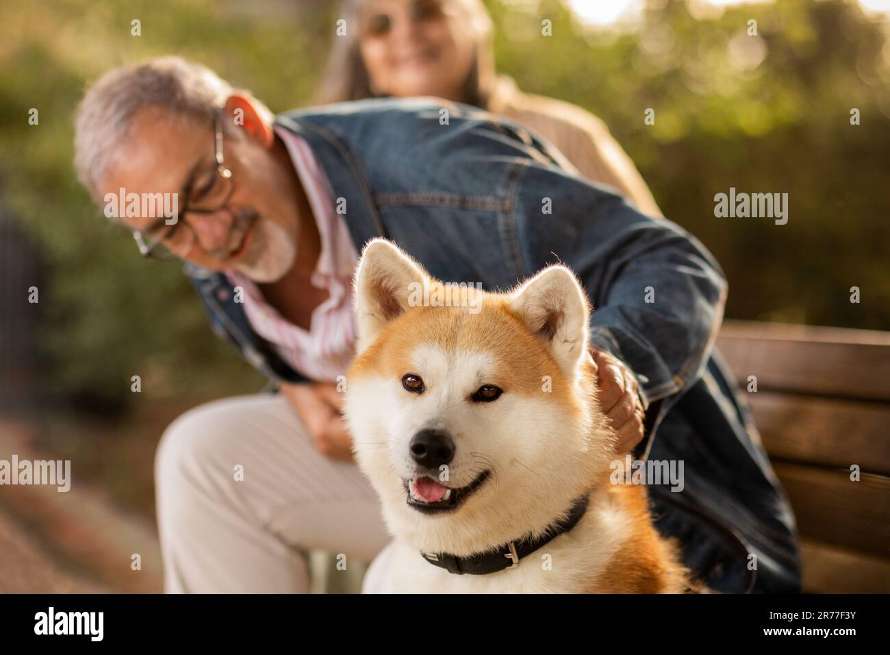Ein fröhliches, reifes ehepaar aus europa sitzt mit dem Hund auf der ... Ein fröhliches, reifes ehepaar aus europa sitzt mit dem Hund auf der ...