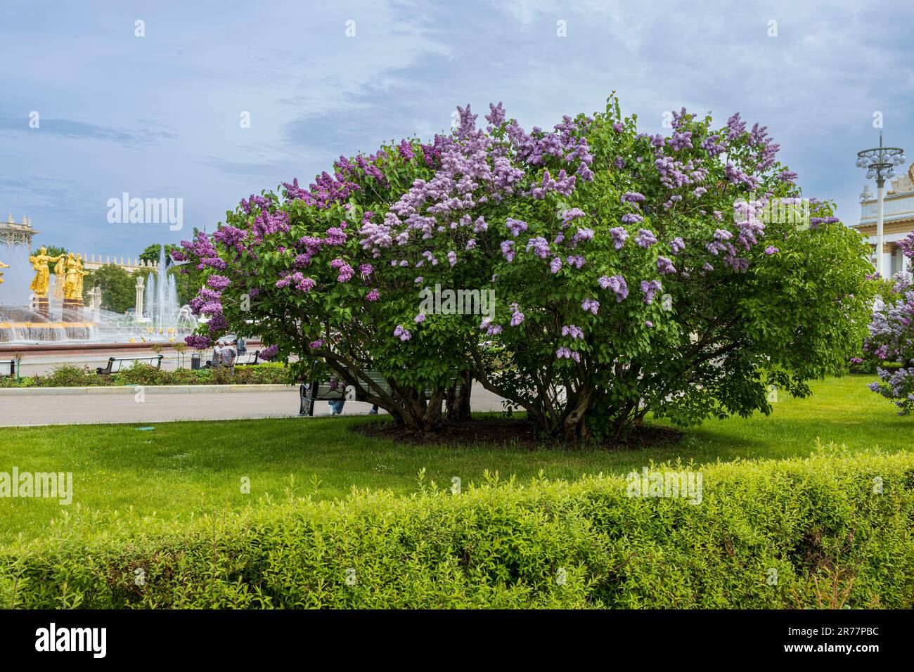 Moskau, Russland - 05. Juni 2023, VDNKh ist eine der wichtigsten ...