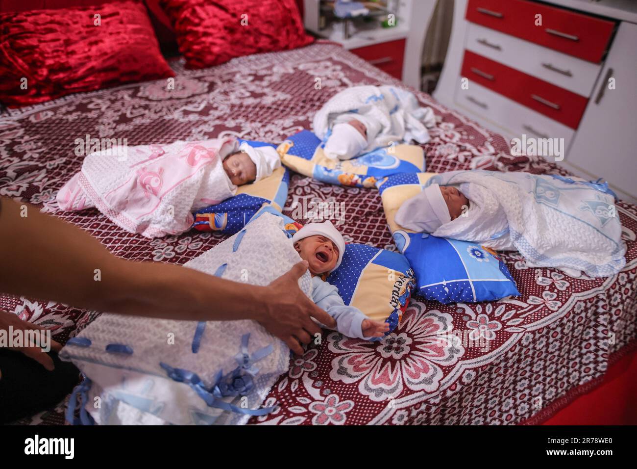 Geburt von vierlingen -Fotos und -Bildmaterial in hoher Auflösung – Alamy