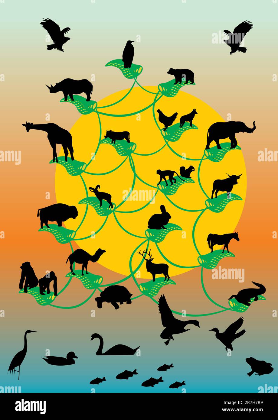 Evolution des pferdes -Fotos und -Bildmaterial in hoher Auflösung – Alamy