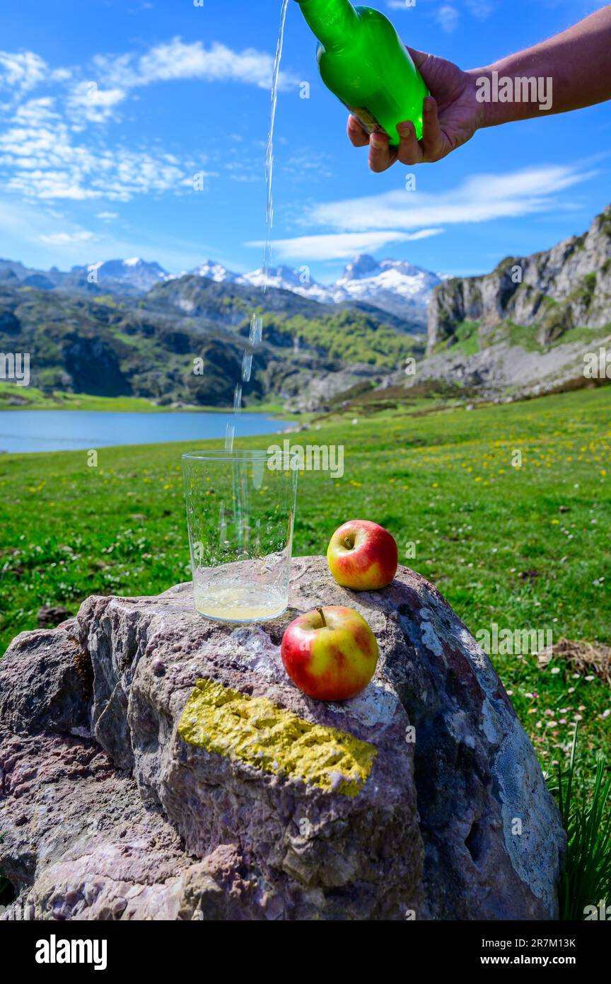 Gießen von natürlichem Asturianischem Apfelwein aus fermentierten ...