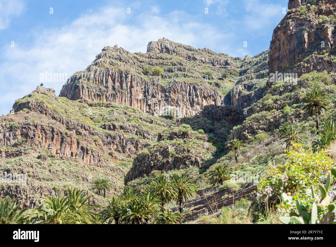 Typische Landschaft für das Valle Gran Rey, den wunderschönen Canyon auf der Kanarischen Insel ...